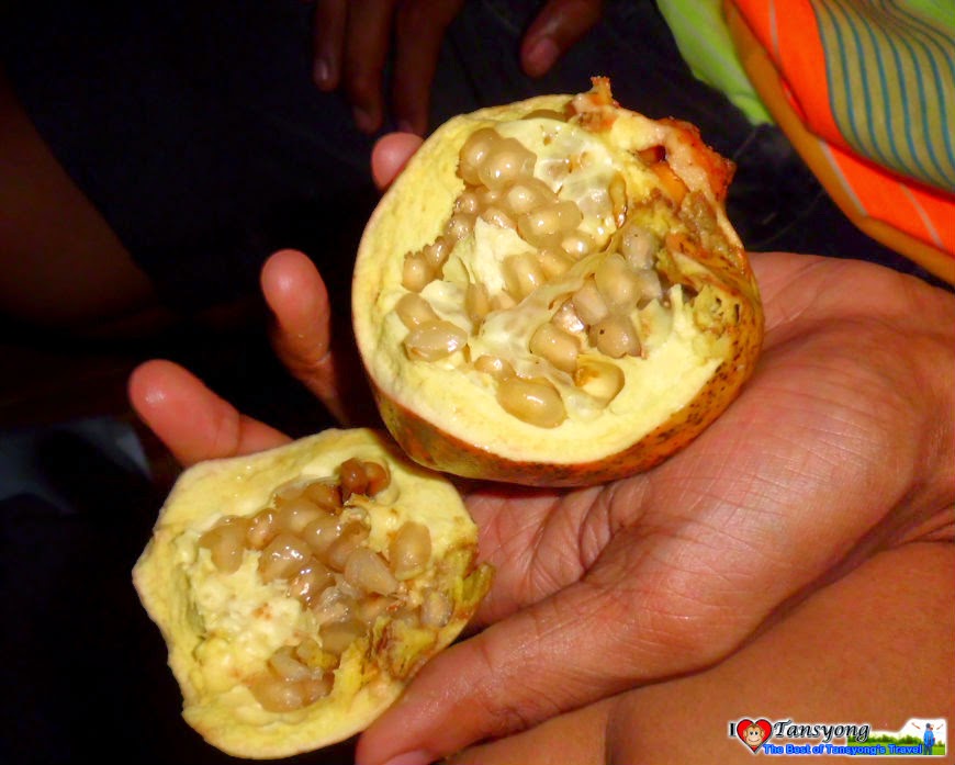 🍋 Pomegranate Fruit AKA Granada Fruit - My First Time In Marinduque ...
